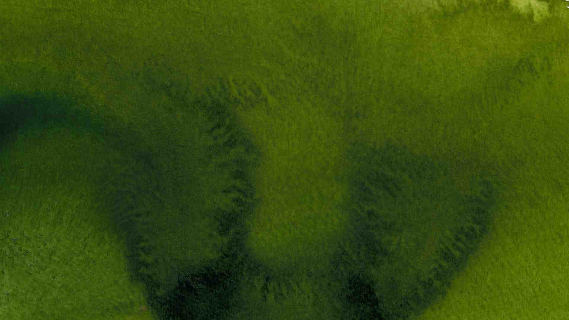 Luxury 5-Star Hotel In Doha | Banyan Tree Doha