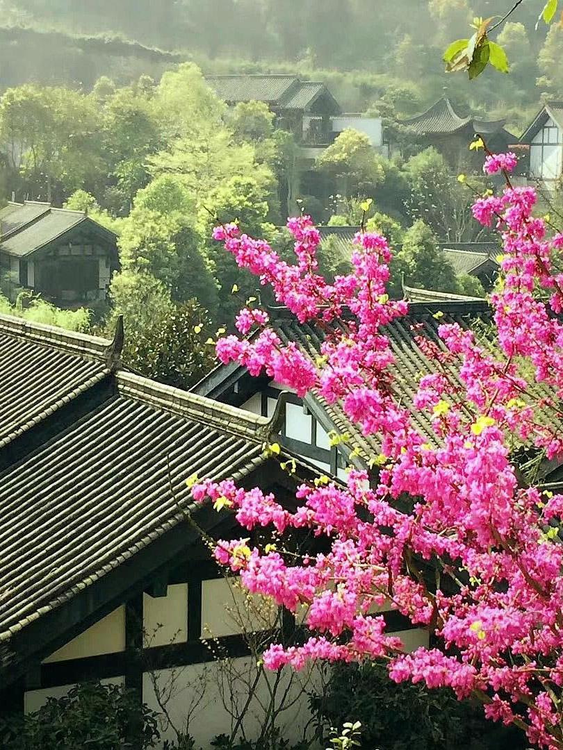 Things to See in Chongqing | Banyan Tree Chongqing Beibei