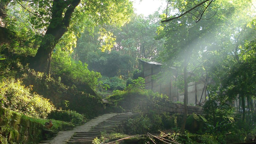 Things to See in Chongqing | Banyan Tree Chongqing Beibei