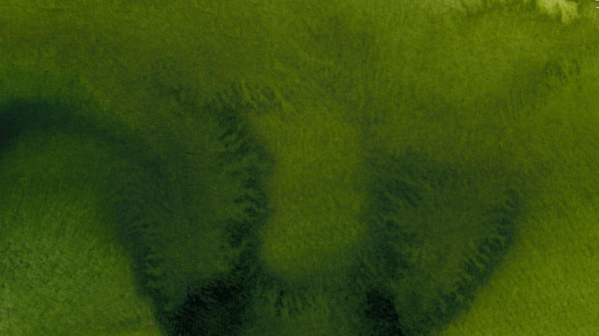 Puebla, Mexico Hotel with Luxury Suites | Banyan Tree Puebla