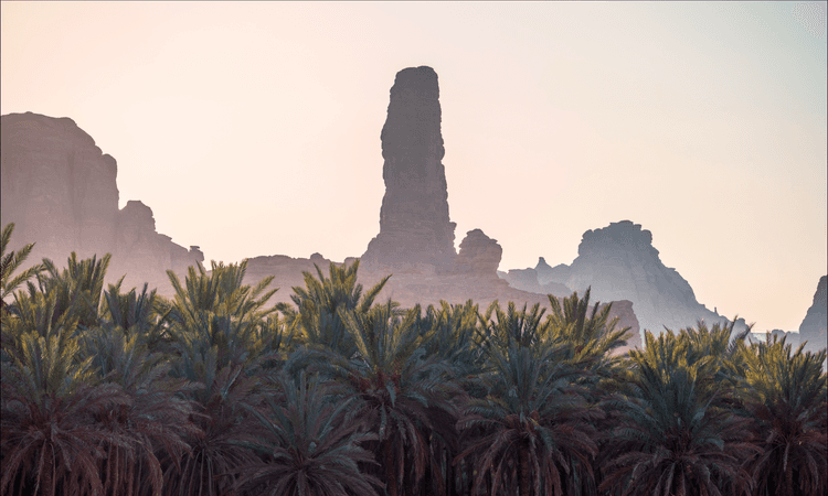 What to Do in AlUla - Activities & Tours | Banyan Tree AlUla