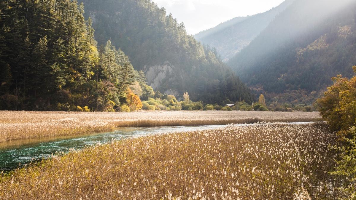 Banyan Tree: Luxury & Sustainable Hotels and Resorts