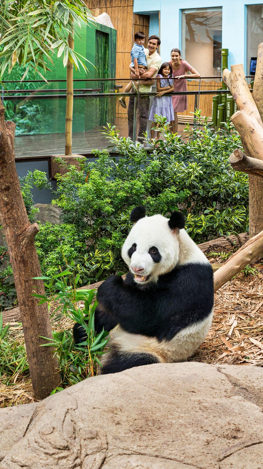 Mandai Rainforest Resort by Banyan Tree | Banyan Tree