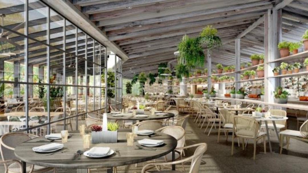 Dining | Banyan Tree