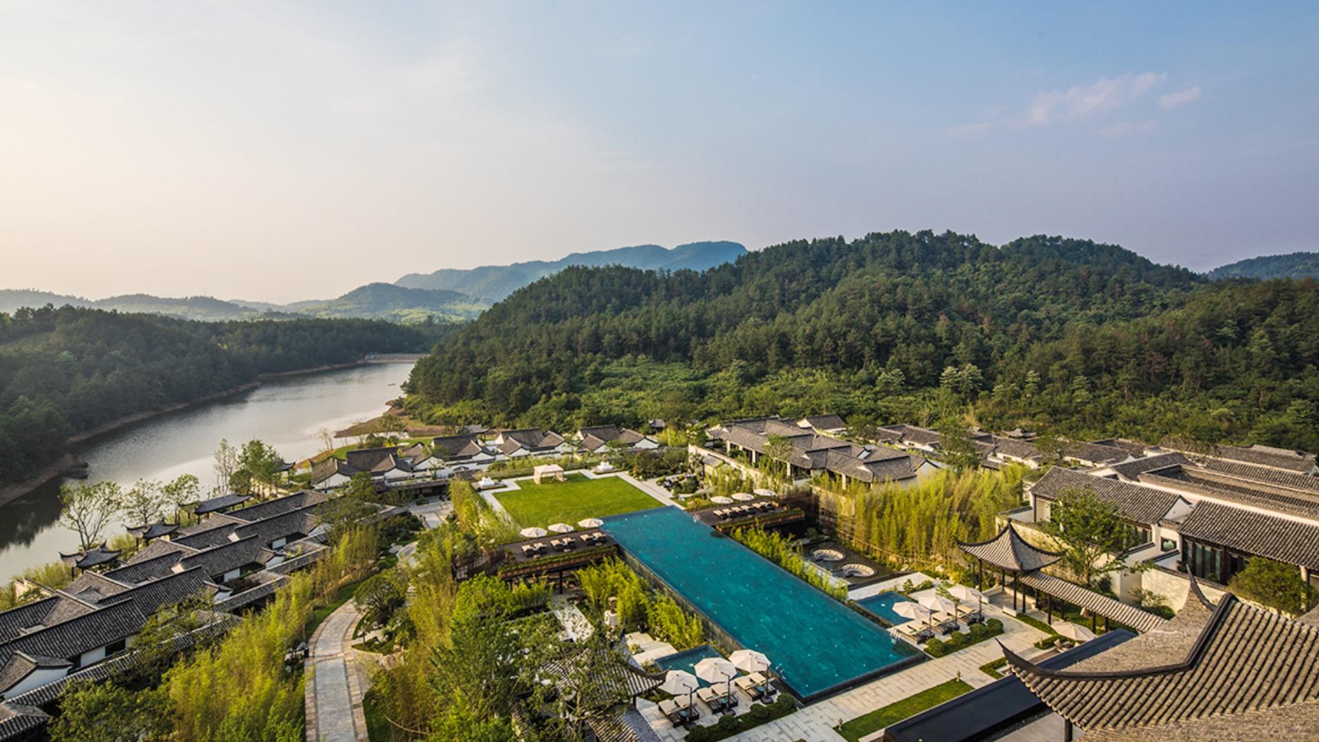 Banyan Tree Connections | Banyan Tree