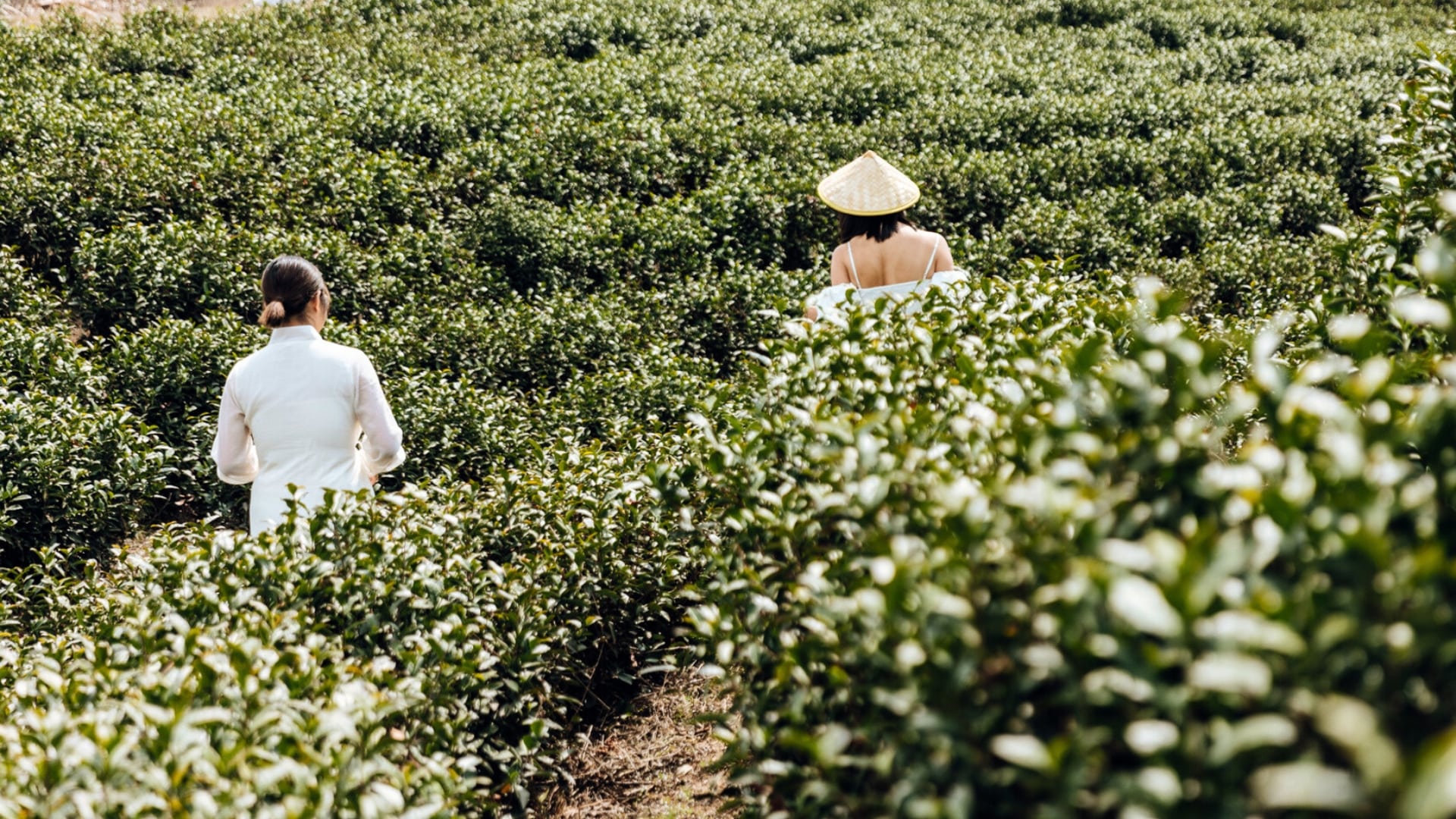 Stay for Good | Banyan Tree Hotels and Resorts