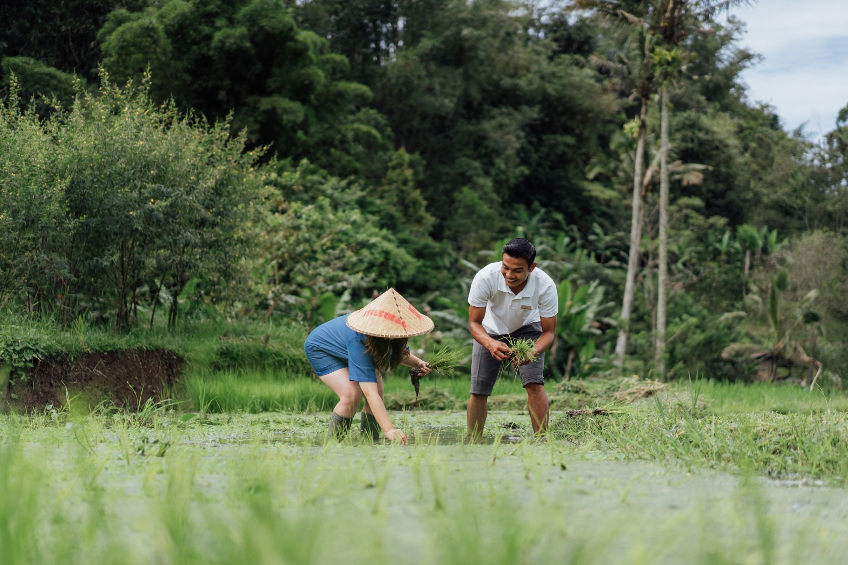 100 Journeys of Discovery | Banyan Tree