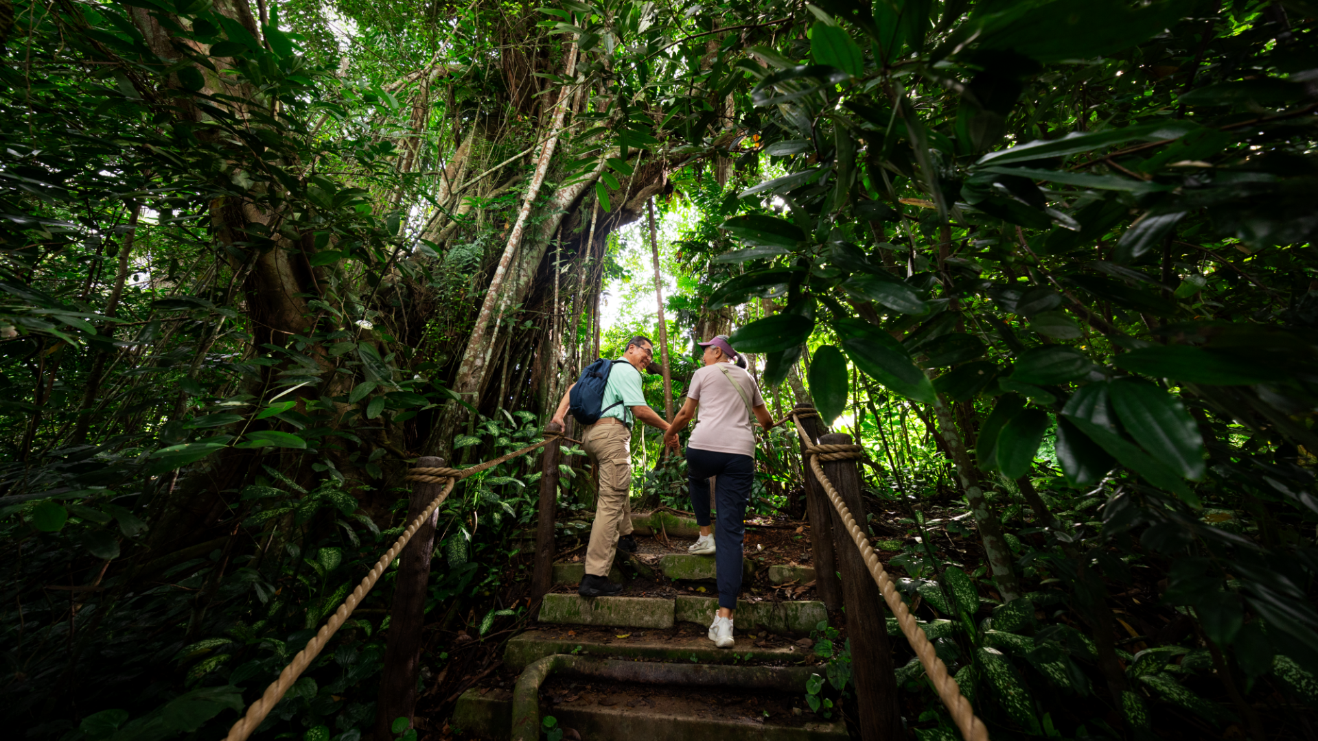 Silver Staycation, Weekday Retreat in Nature at Banyan Tree Mandai