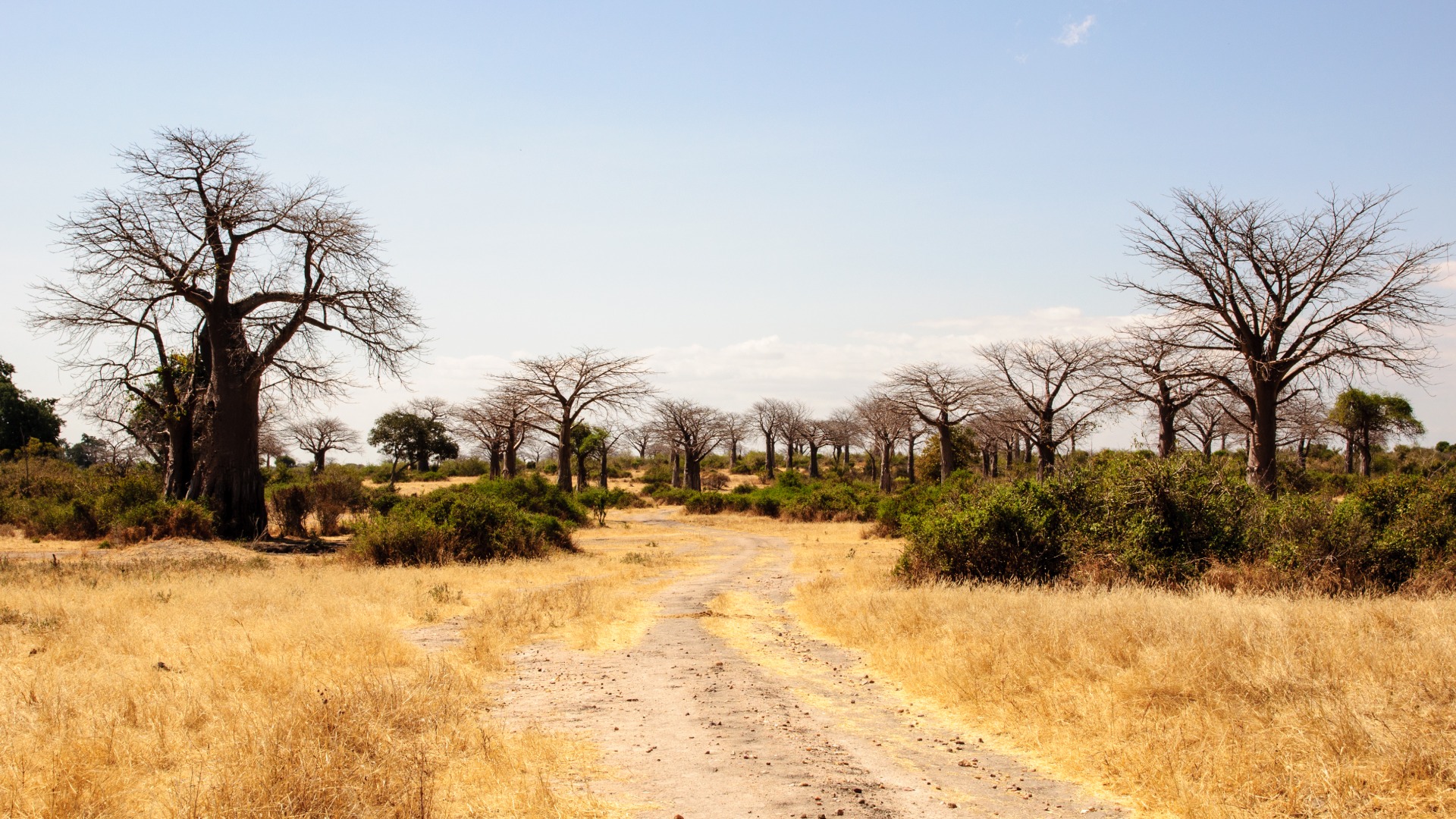 Experiences | Ubuyu, A Banyan Tree Escape